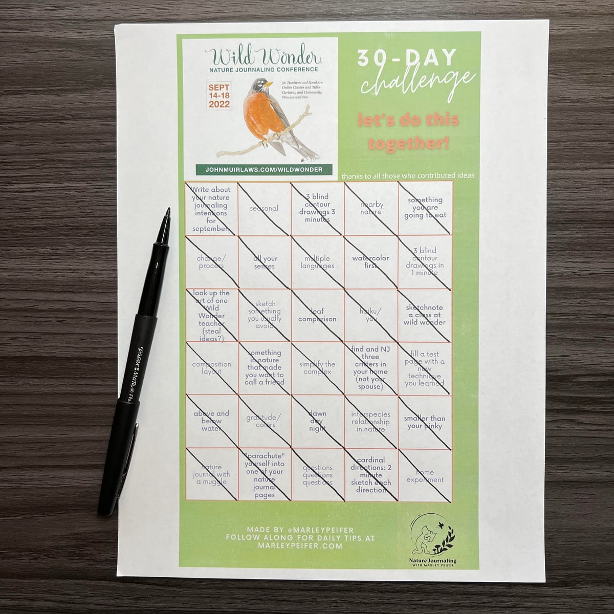 Lessons learned from a 30-day nature journaling challenge